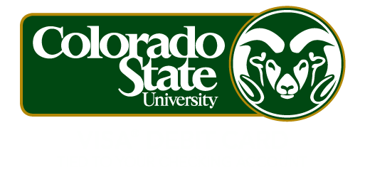 Top 30 Online Accelerated MBA Programs 2019